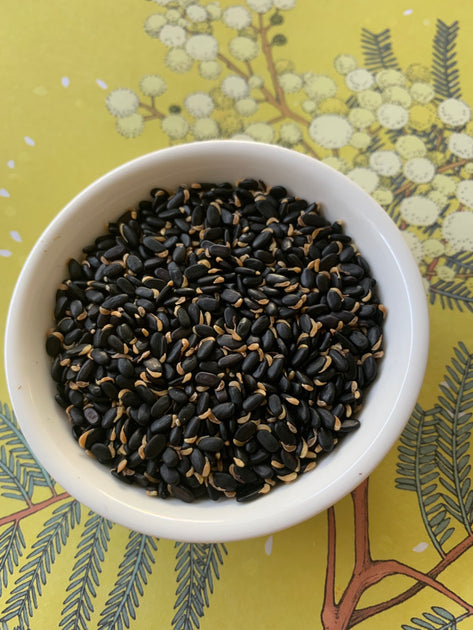 Wattleseed Species Information – Natif Foods