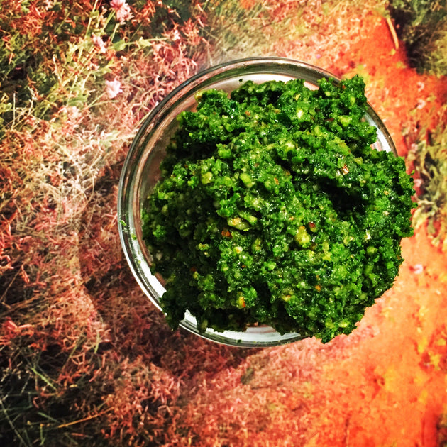 NATIF 'Bush Tucker' Pesto – Natif Foods