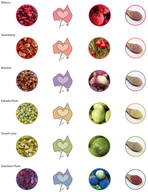 Meet our native Super fruit Range – Natif Foods