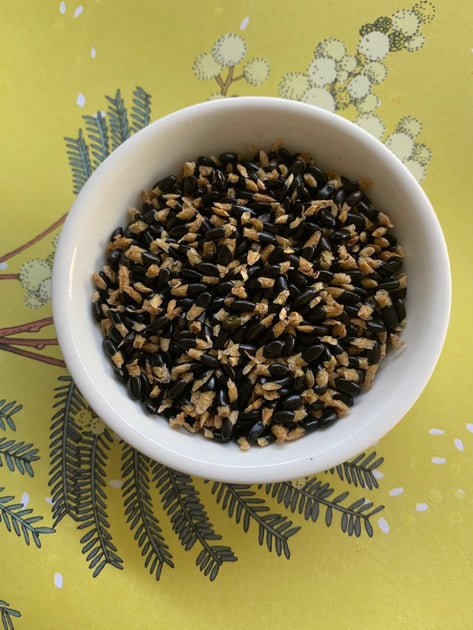 Wattleseed species information – Natif Foods