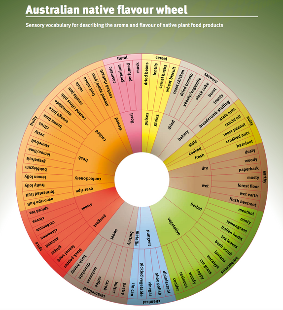 AUSTRALIAN NATIVE FOOD FLAVOUR WHEEL – Natif Foods