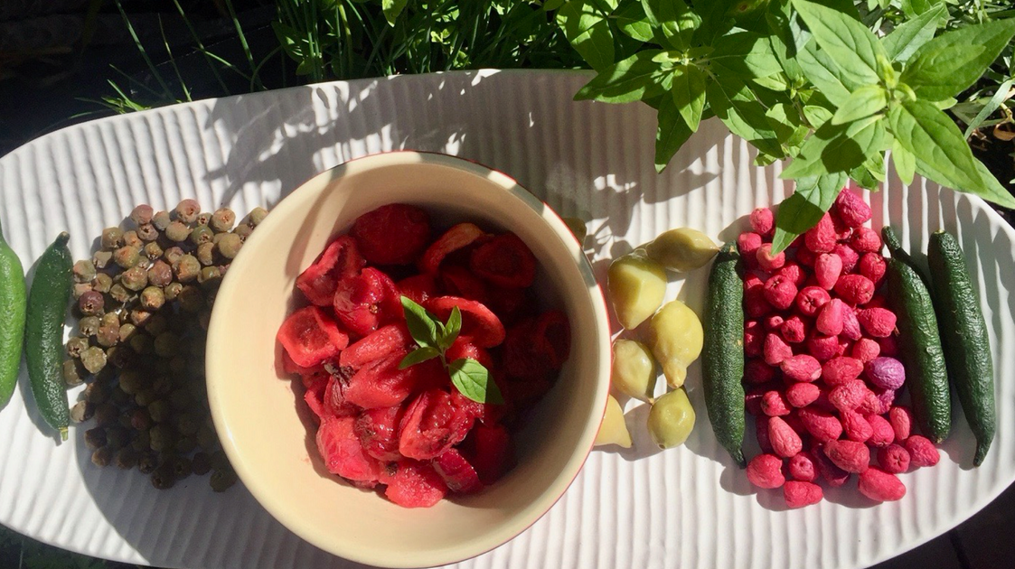 Platter of Native Foods – Natif Foods