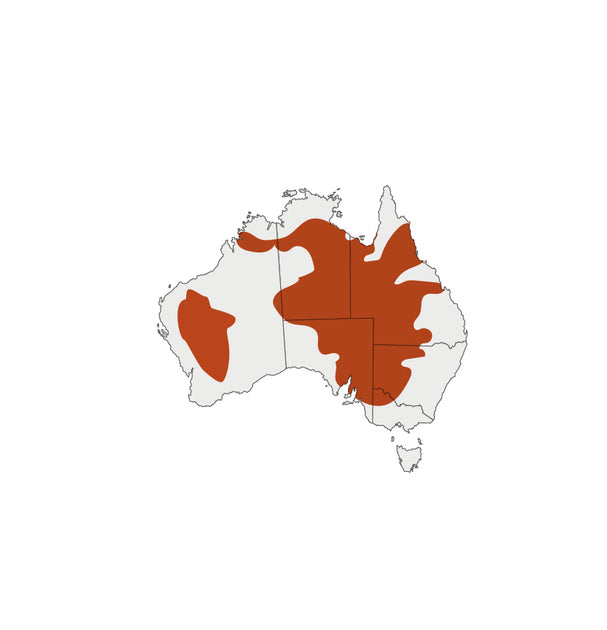 DISTRIBUTION MAPS FOR AUSTRALIAN NATIVE FOODS – Natif Foods