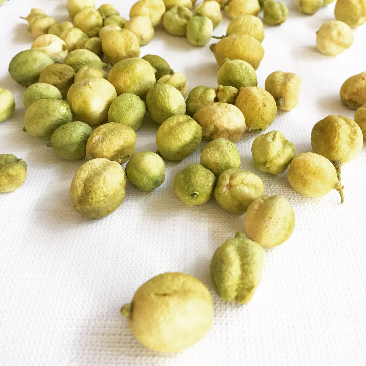 DESERT LIME FRUIT – Natif Foods