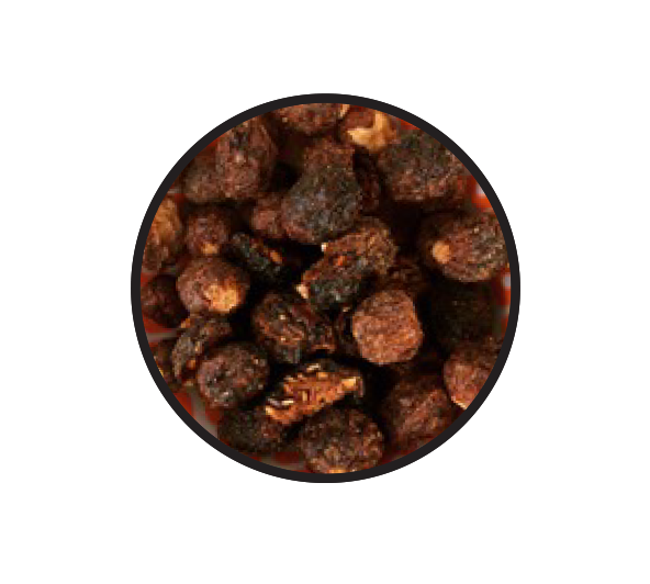 BUSH TOMATO – Natif Foods