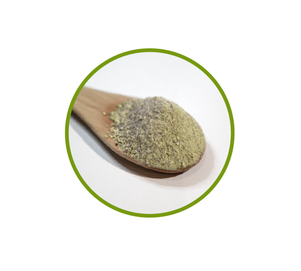 DESERT LIME POWDER – Natif Foods