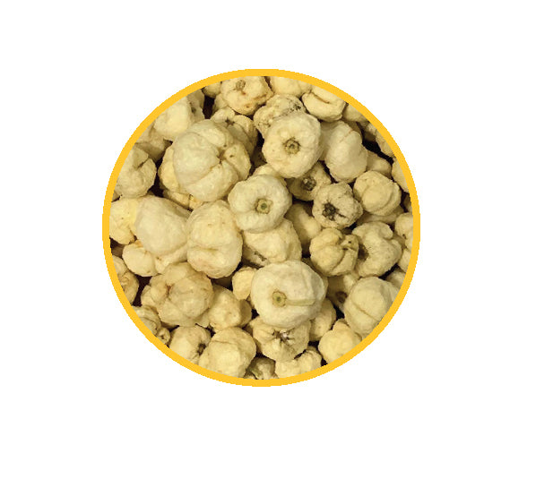 Lemon Aspen Fruit – Natif Foods