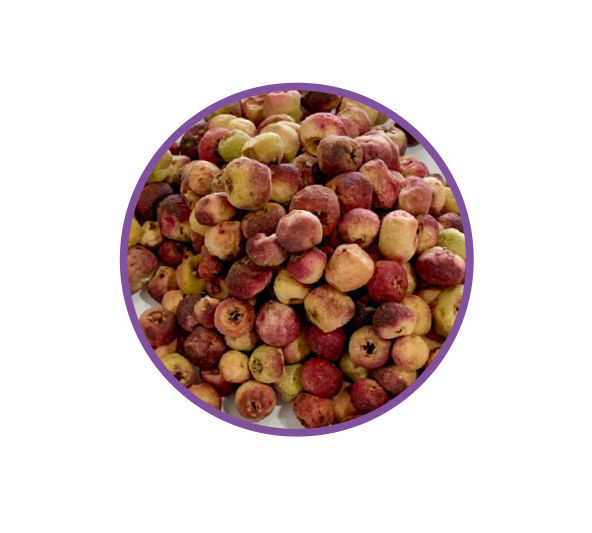 MUNTRIE FRUIT – Natif Foods