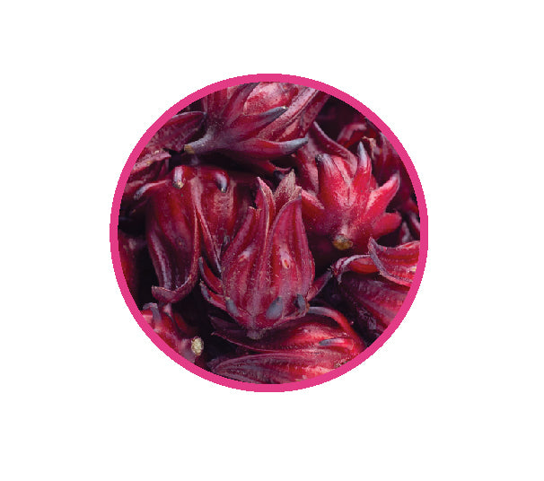 Rosella Powder – Natif Foods